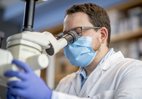 Education Biomedical Engineering | Lerner Research Institute