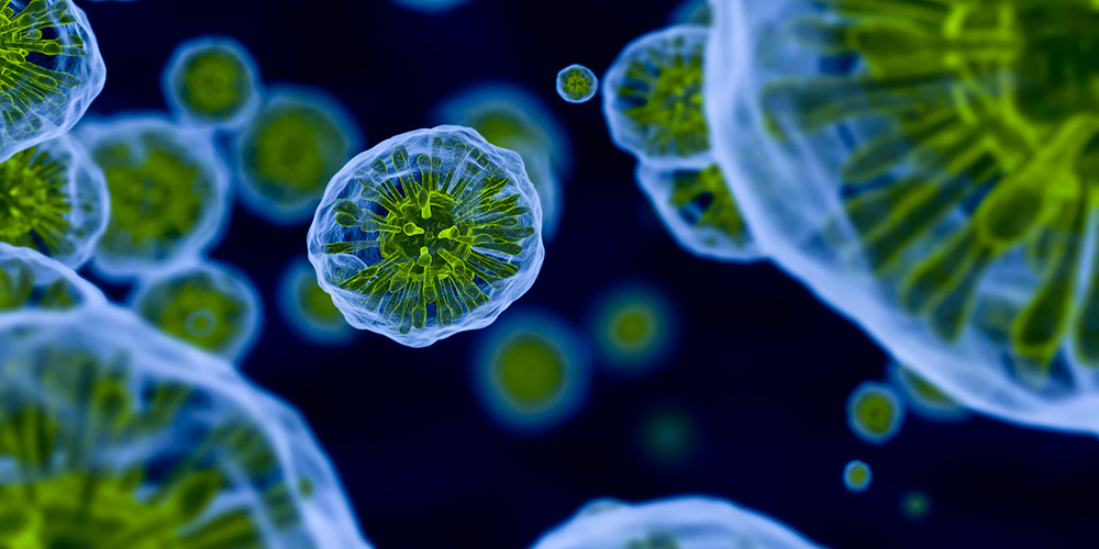 Laboratories Florida Research & Innovation | Lerner Research Institute