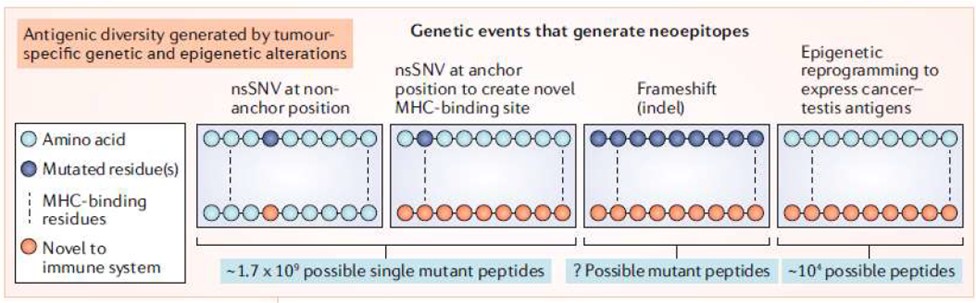 Computational Immunology Platform | Lerner Research Institute