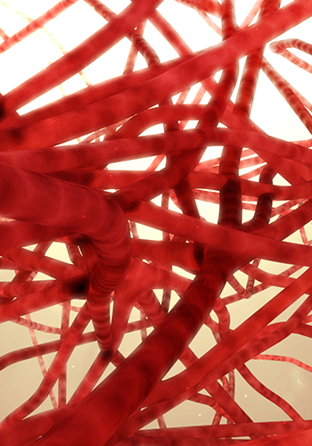 Science | Lerner Research Institute