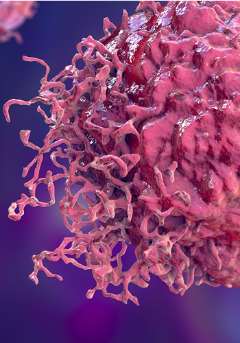 Science | Lerner Research Institute