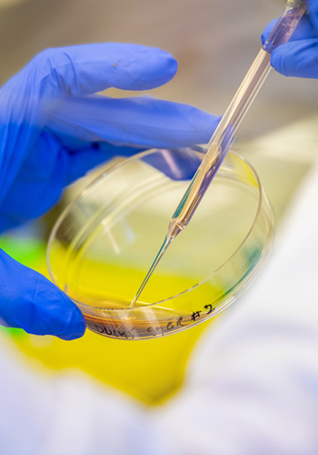 Science | Lerner Research Institute