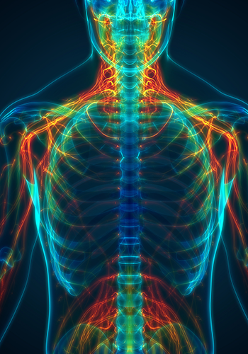 Science | Lerner Research Institute